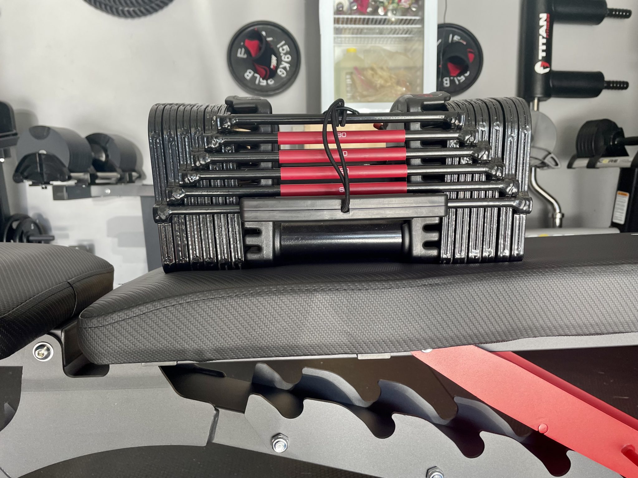 Flybird Pro Adjustable Bench Review - (BEST Flybird Bench?)