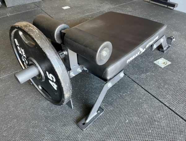 Freak Athlete Nordic Mini Review - Affordable Nordic Curl Bench