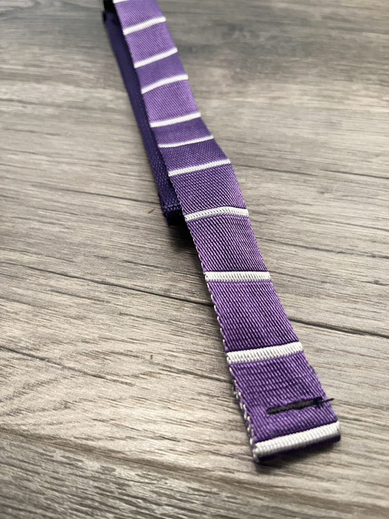 Nordic Curl Progression Made EASY With The NordSpotter Strap