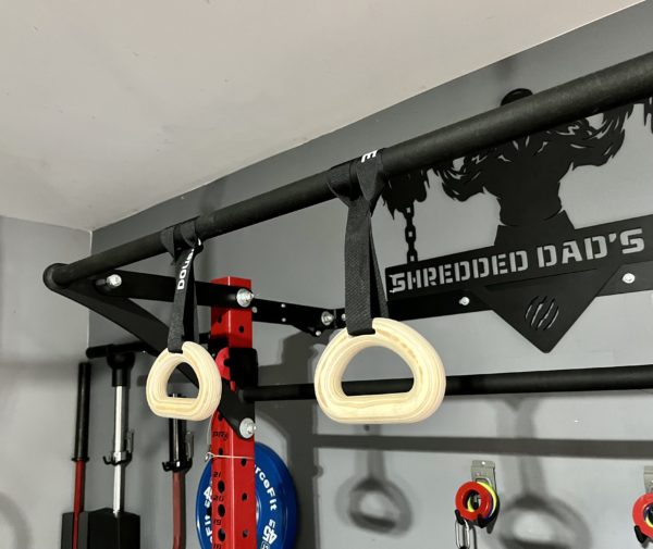 Double Circle Pull Up Handles Review - Rotating Pull Up Handles