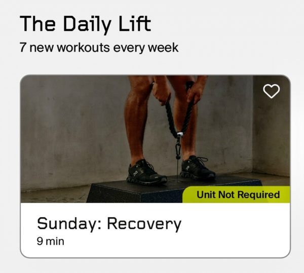 Arena Platform Review - Garage Gym Ideas