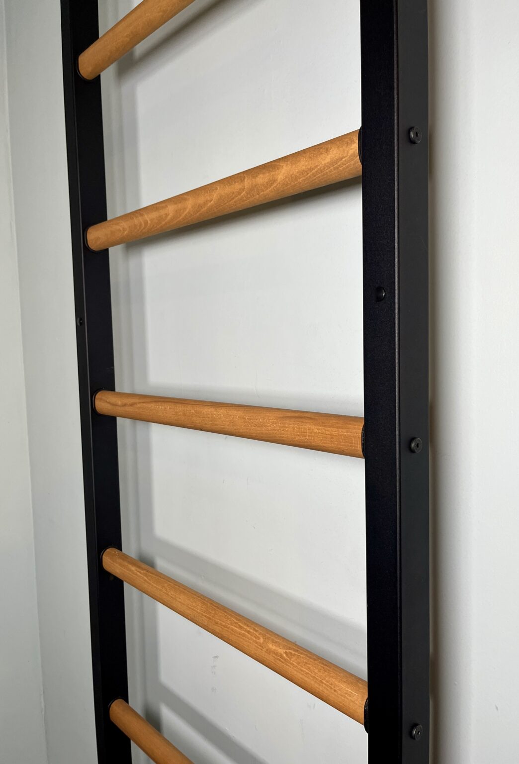 BenchK Wall Bars Review : Swedish Ladder for Home Gym