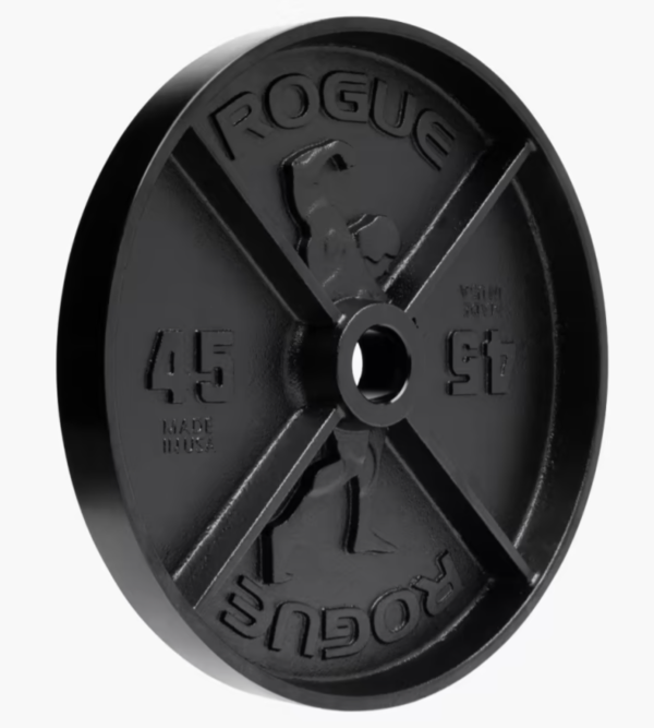LeMaster Deep Dish Weight Plates Review - 45 LBS Deep Dish