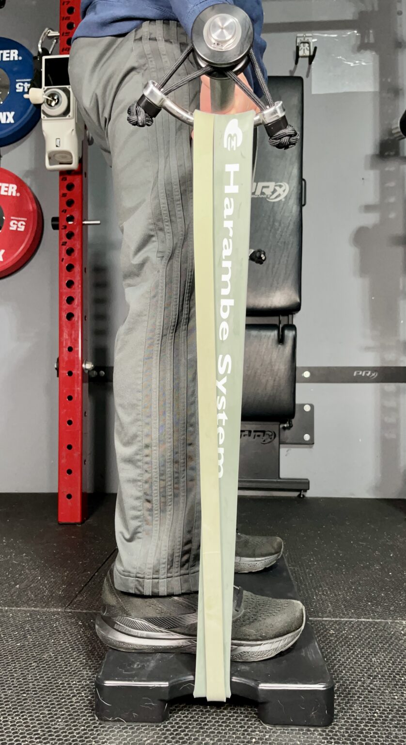 Harambe System Review - Harambe K Bundle