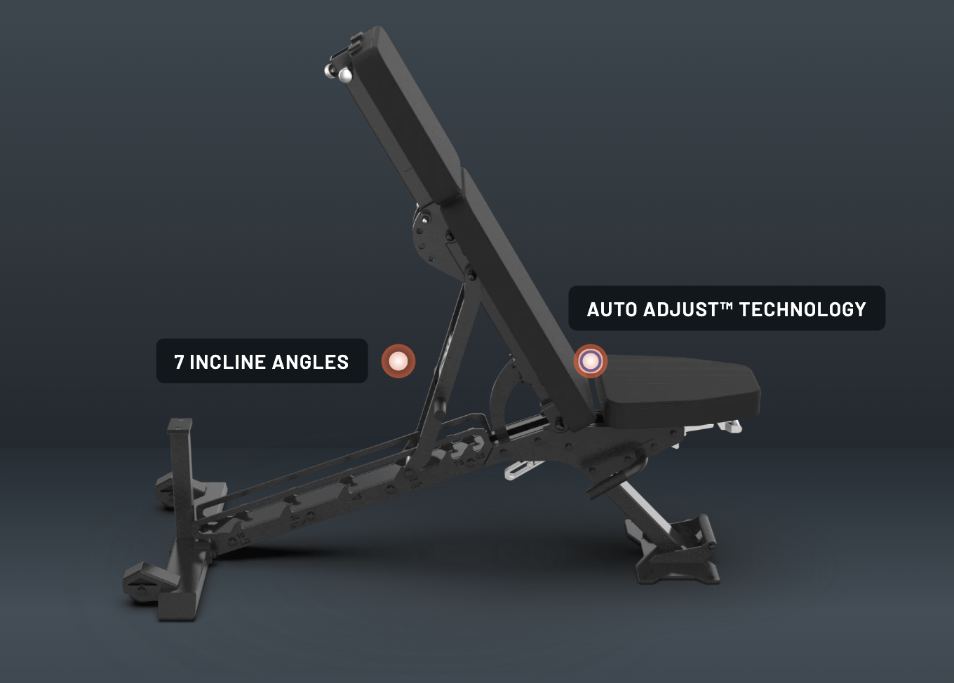 Freak Athlete ABX Adjustable Bench Launches : A Preview
