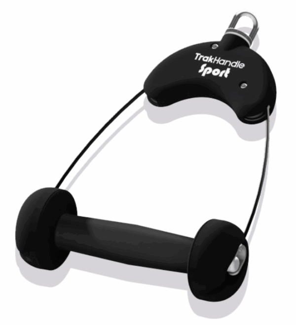 Double Circle Pull Up Handles Review - Rotating Pull Up Handles